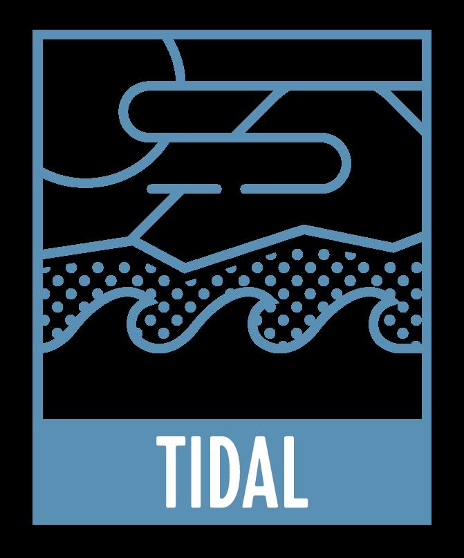 Tidal – Amble Clothing